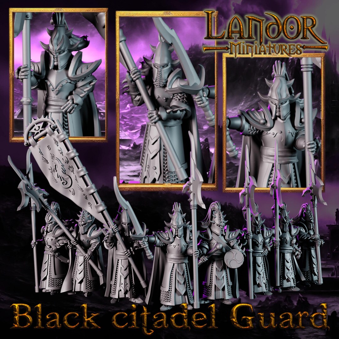 Dark Elf Black Citadel Guard, Modular Dark Elven Miniatures by Landor ...