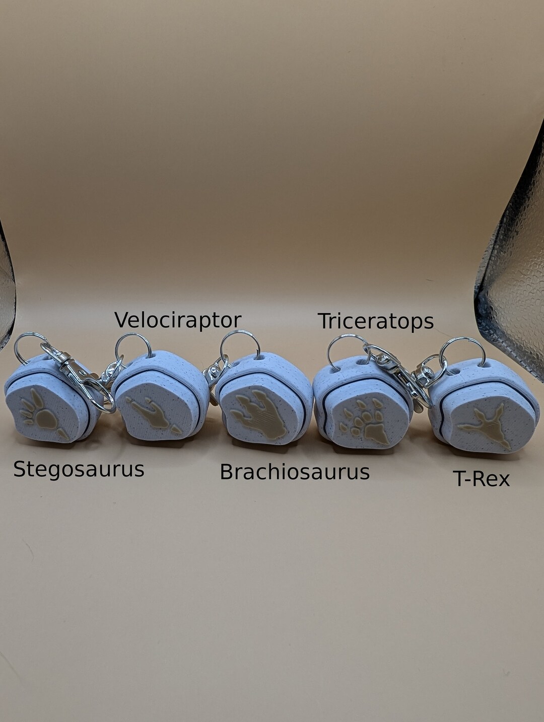Dinosaur Brachiosaurus Tyrannosaurus Rex Velociraptor Stegosaurus ...