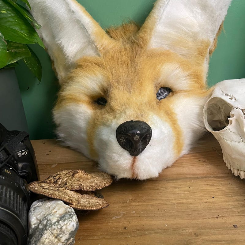 Therian Mask Fennec Fox - Etsy