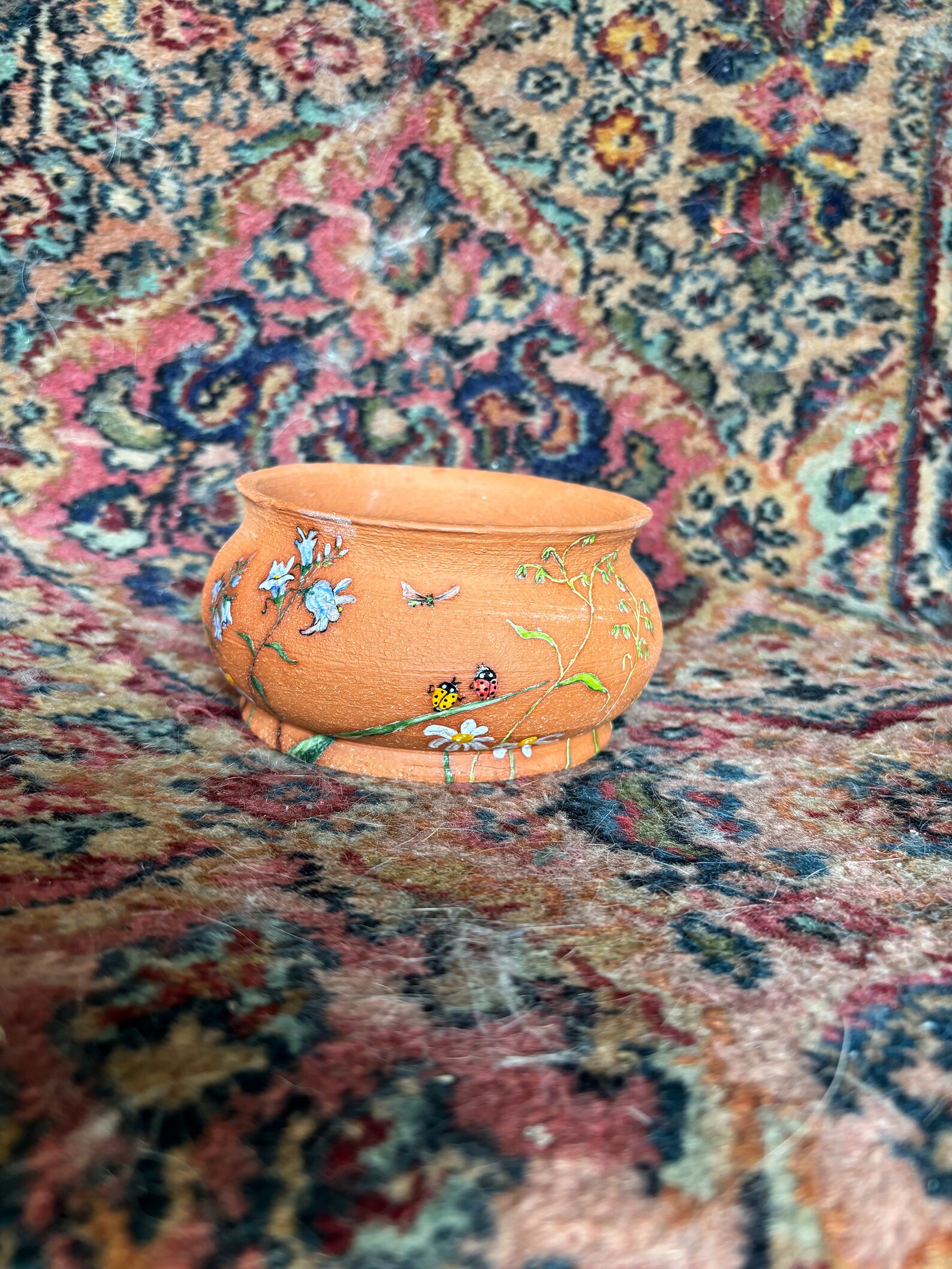 Bug Friends Floral Terracotta Pot - Etsy