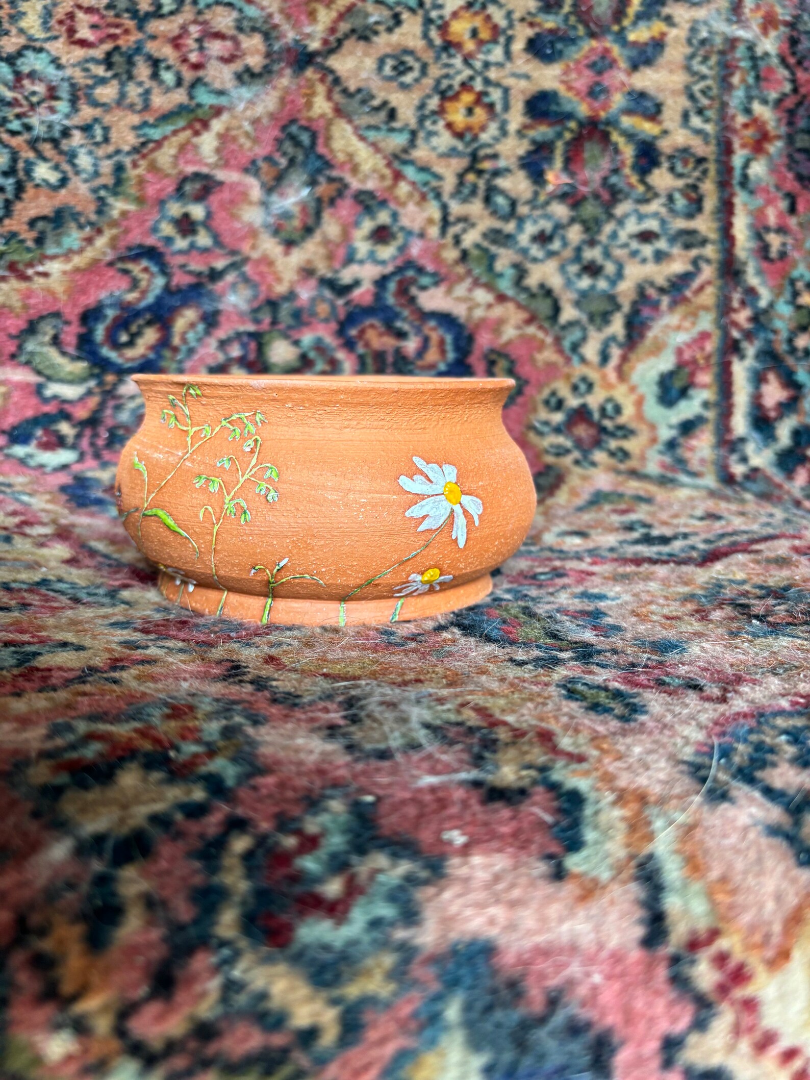 Bug Friends Floral Terracotta Pot - Etsy