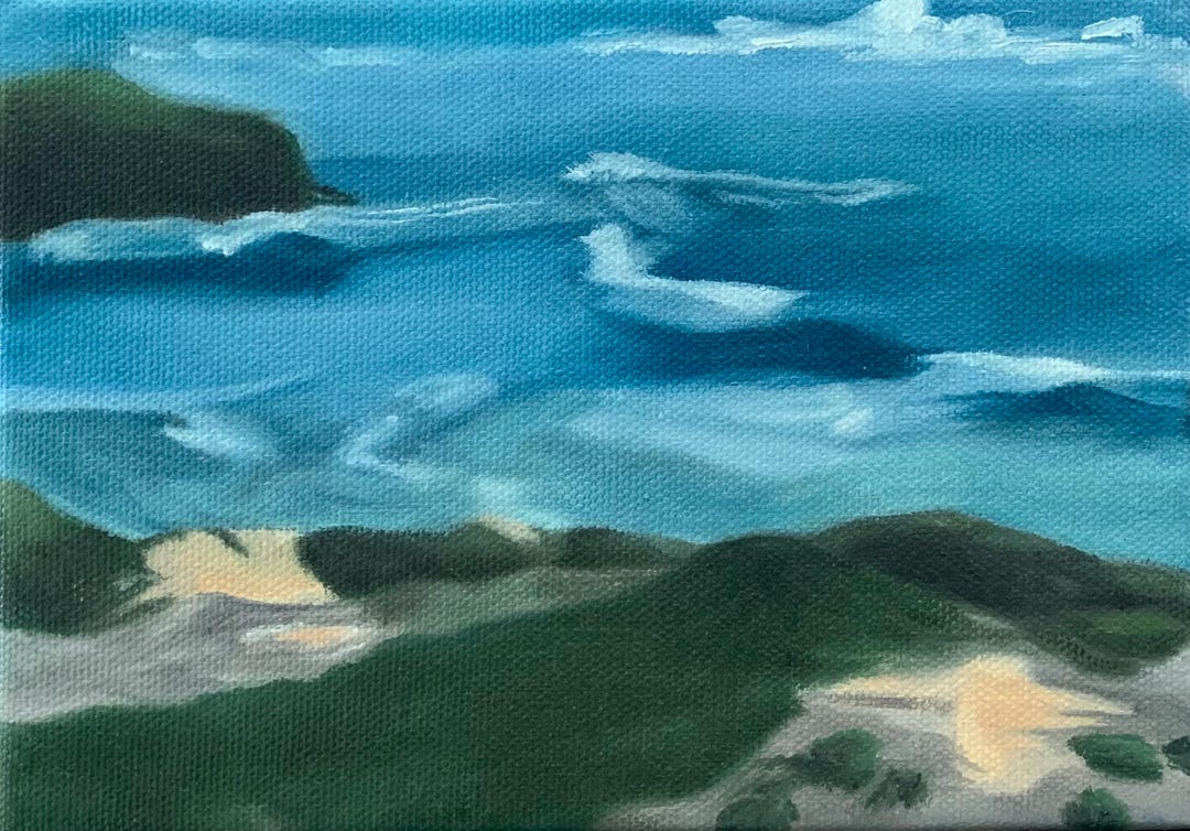 Mako Original Oil Painting - Etsy