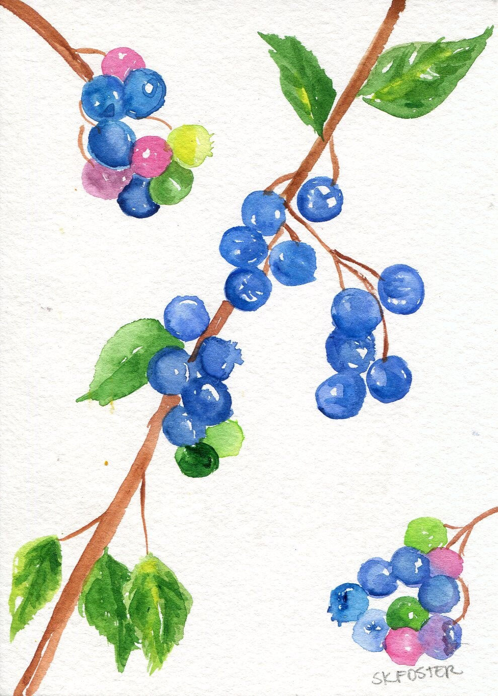 Blueberries Watercolor Painting Original Fruit ART 5 X 7 | Etsy UK