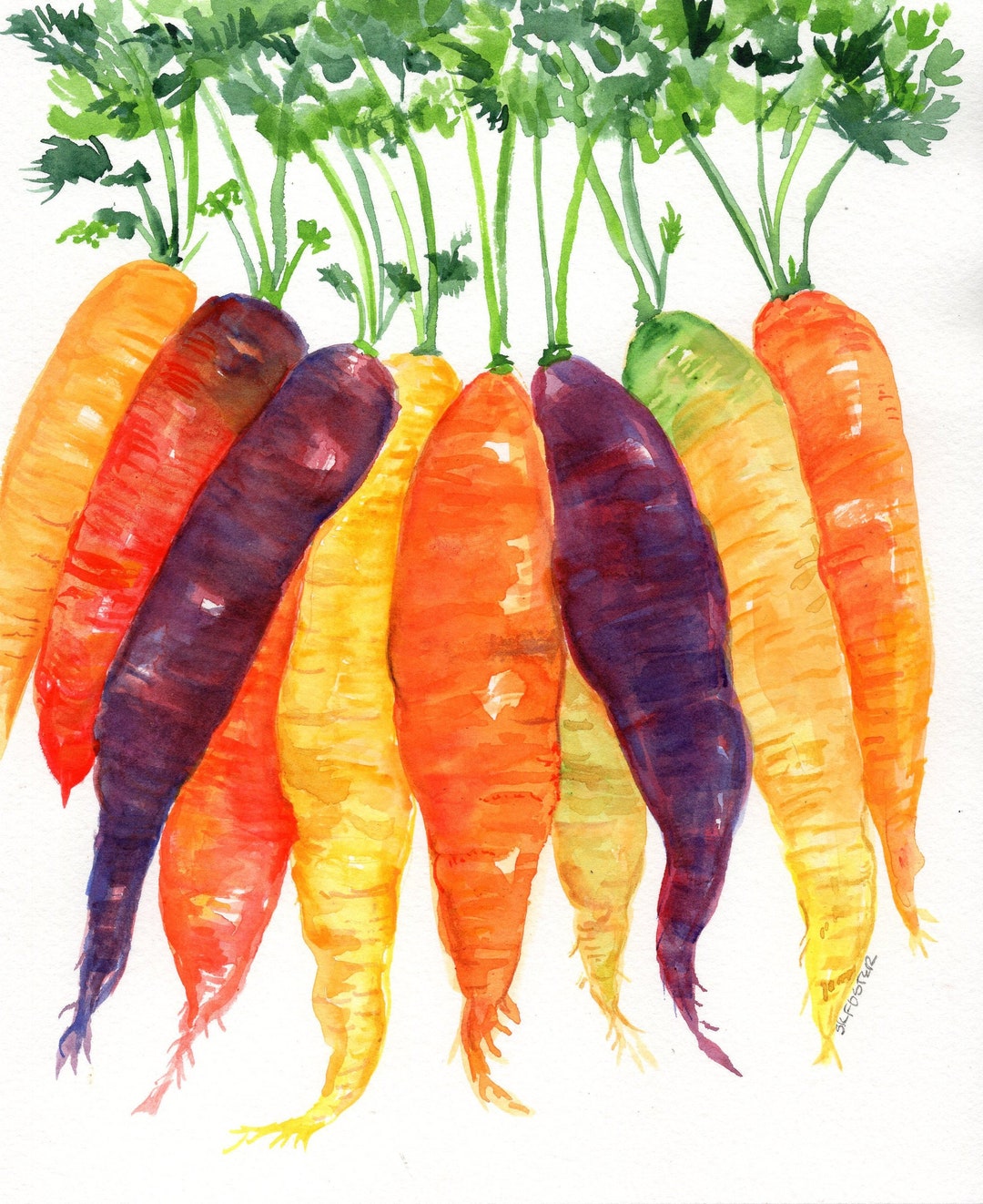 Vibrant Rainbow Carrots Watercolor Painting - Vertical 10x8 Modern ...