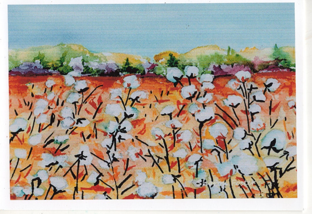 Cotton Field, Cotton Bolls Greeting Card Print of My Original ...