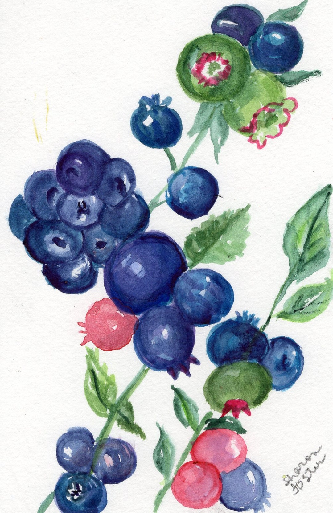Blueberry Watercolor Painting: Original Kitchen Art, Botanical Fruit ...