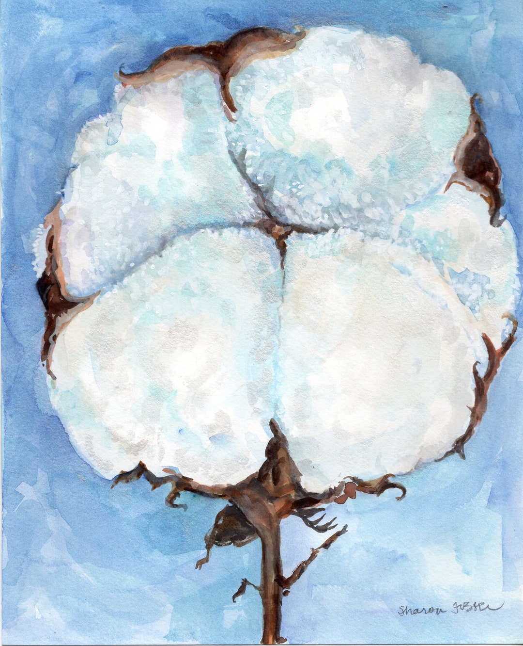 Original Cotton Watercolor Painting Hand Painted Cotton Boll - Etsy