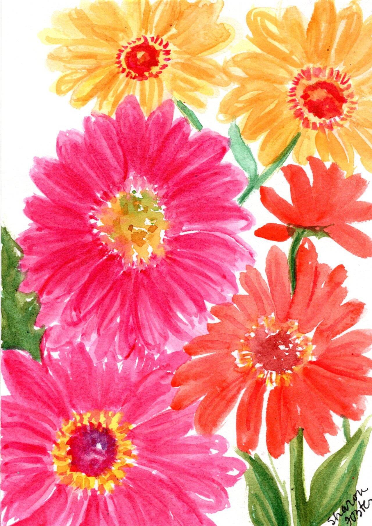 Gerbera Daisy Painting