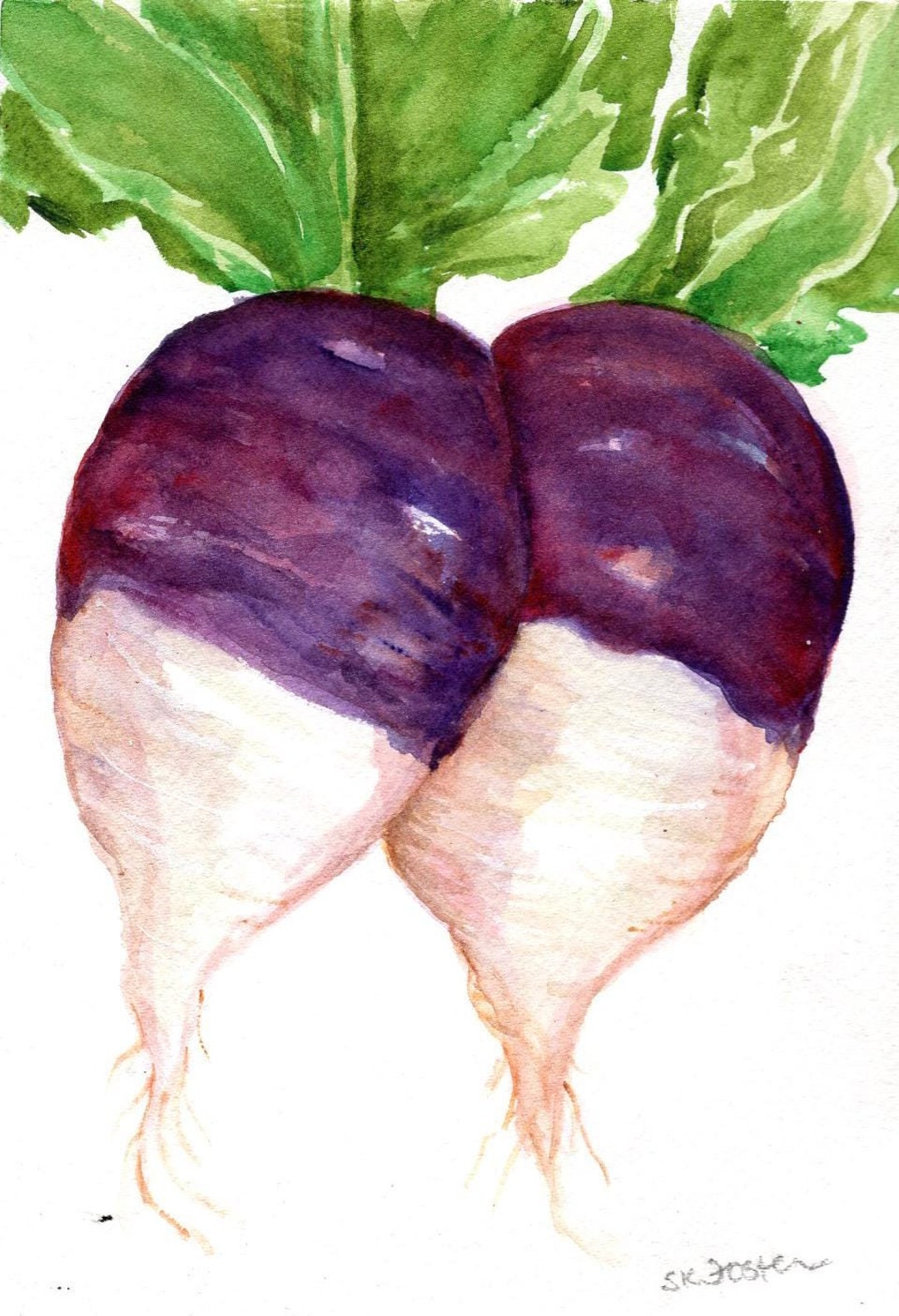Turnips Watercolor Painting Original, Vegetable Wall Art, 5 X 7, Turnip ...