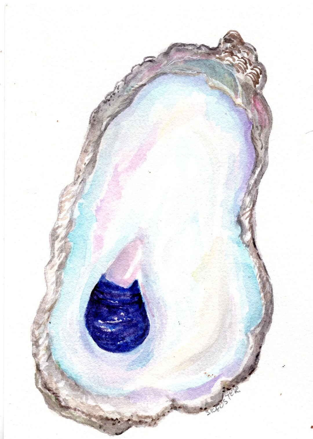 Original Oyster Shell Watercolor Painting 5 X 7 Beach House Art ...