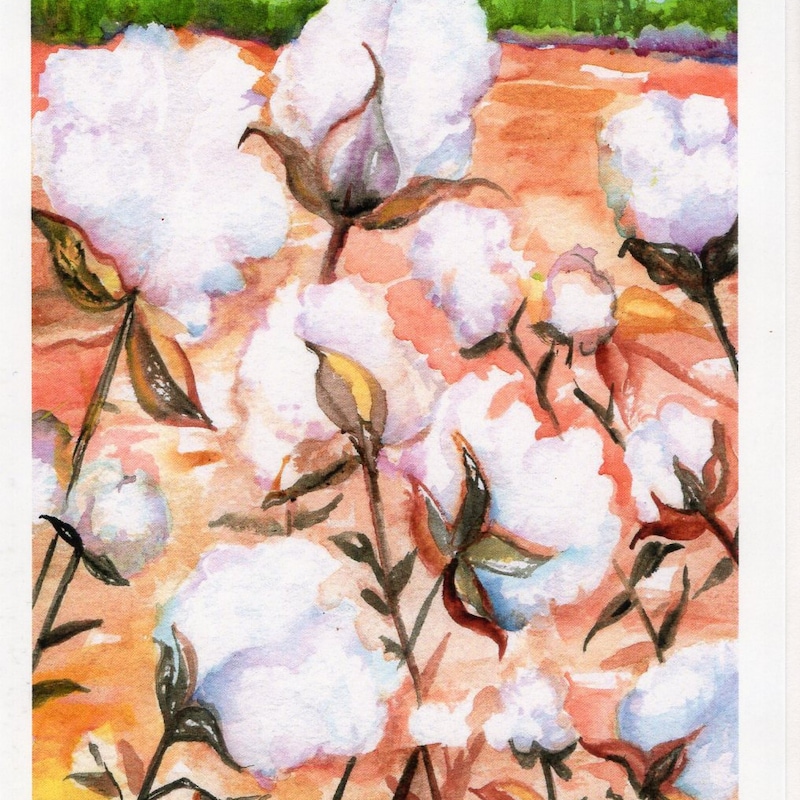 Cotton Fields - Etsy