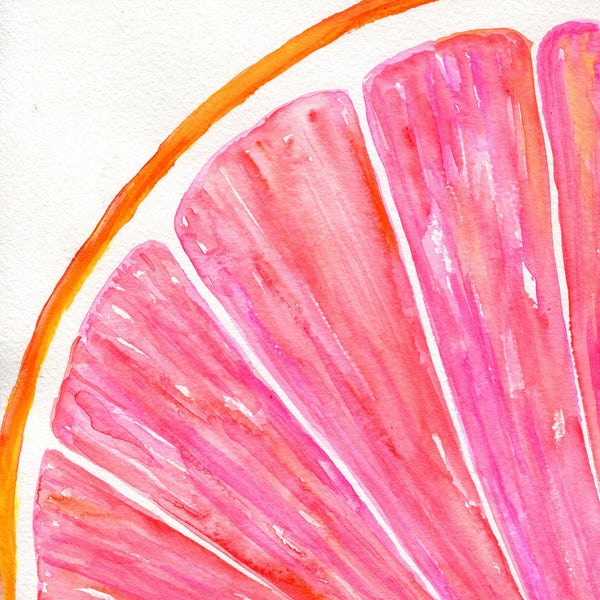 Grapefruit Painting - Etsy