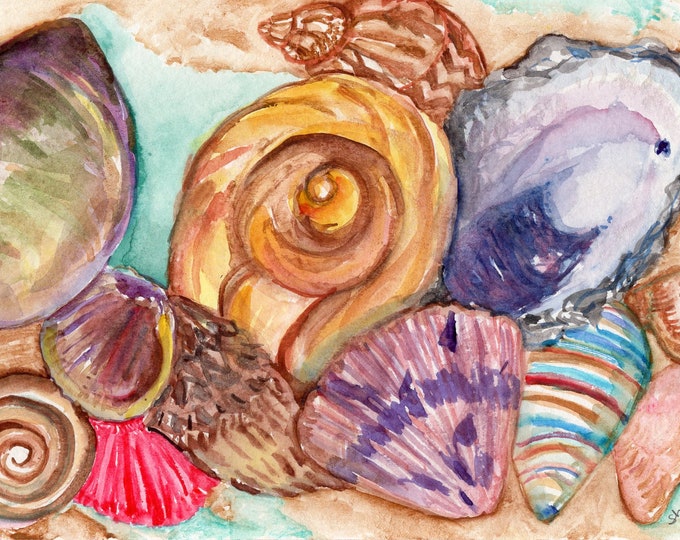 Original Shells Watercolor Seashells Painting 5 X 7 - Etsy