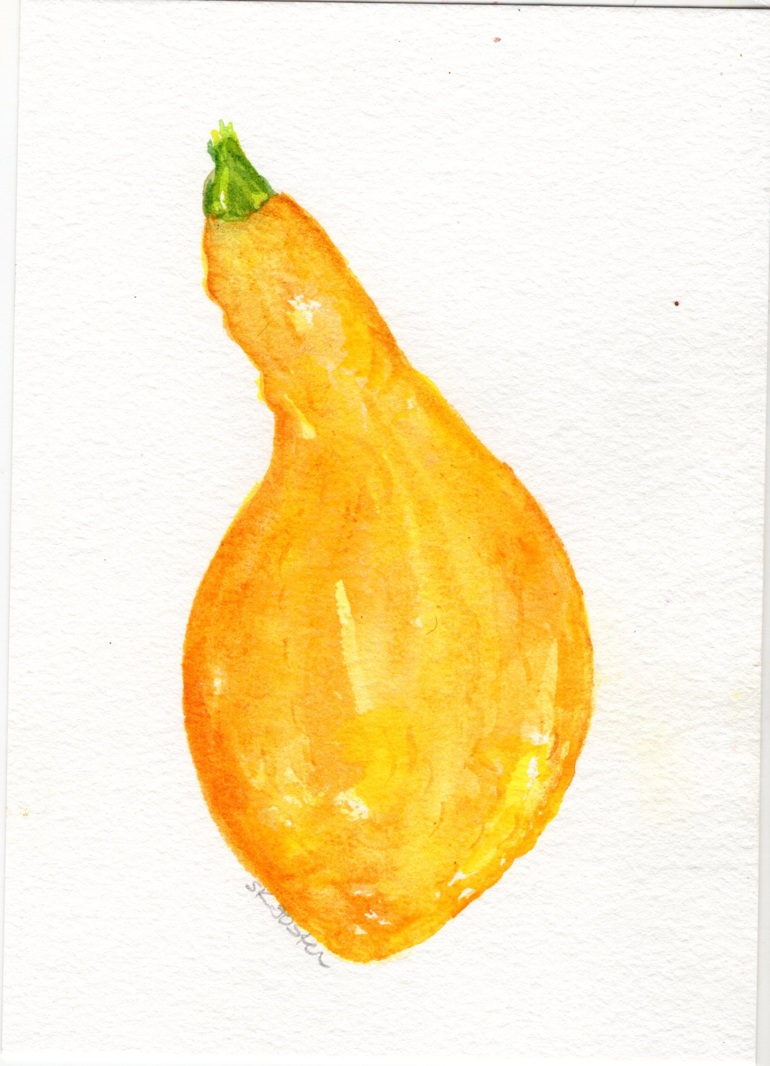 Original Squash Watercolor Painting Minimalist Kitchen Food - Etsy