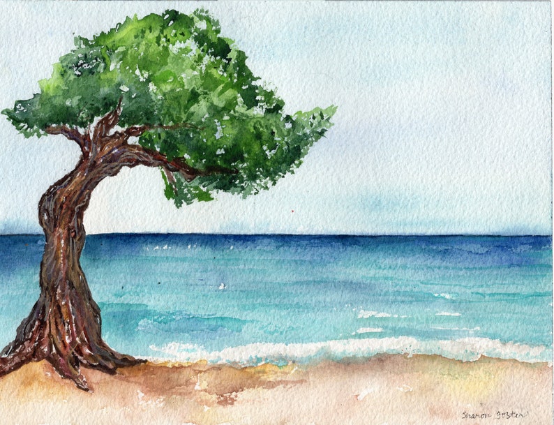 Divi Divi Tree Aruba Watercolor Painting Original Ocean | Etsy