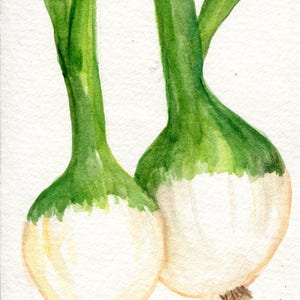 Original Spring Onions Watercolor Painting, Small Vegetable Kitchen ...