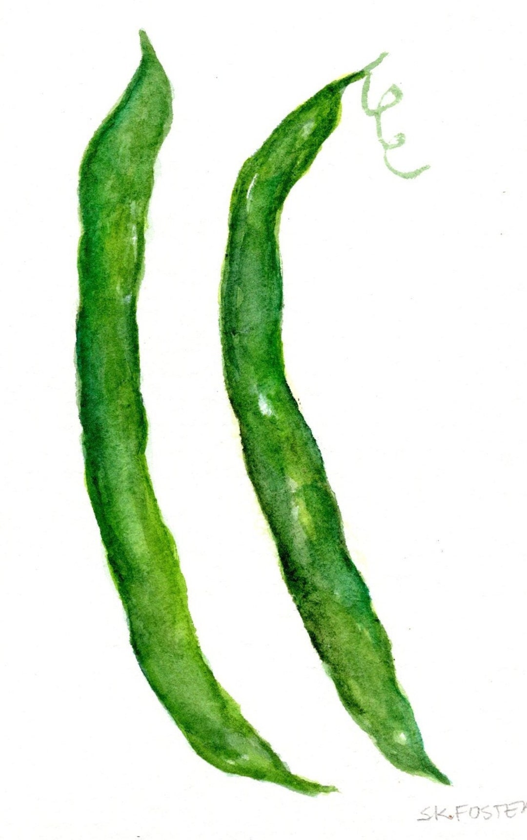 Original Green Bean Watercolor Painting Perfect Kitchen Wall Art ...