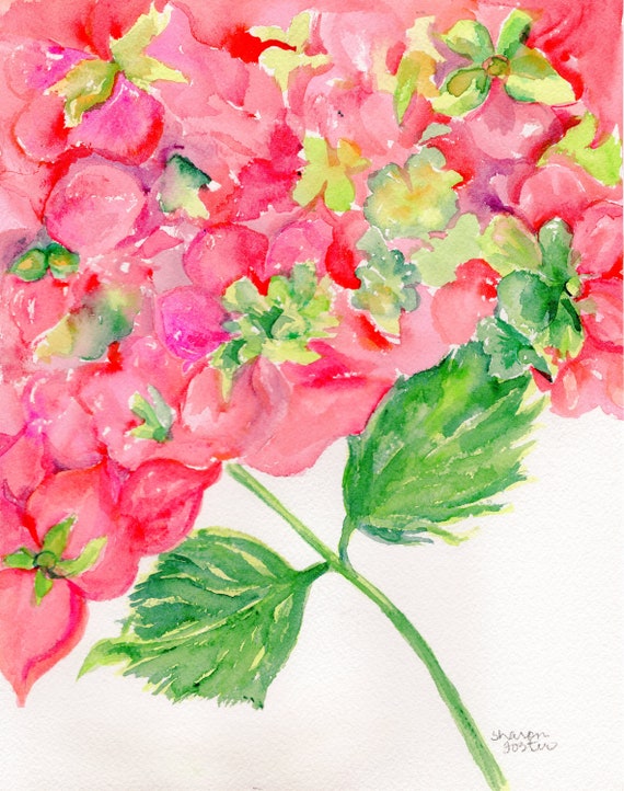 Painting hydrangea pink floral artwork Pink Hydrangeas watercolors ...