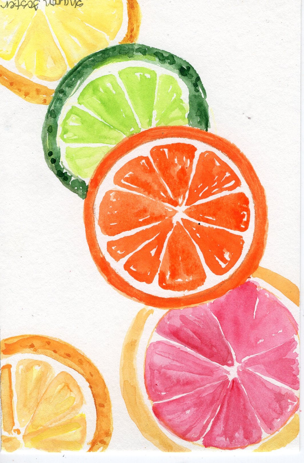 Watercolor Paintings Of Fruit