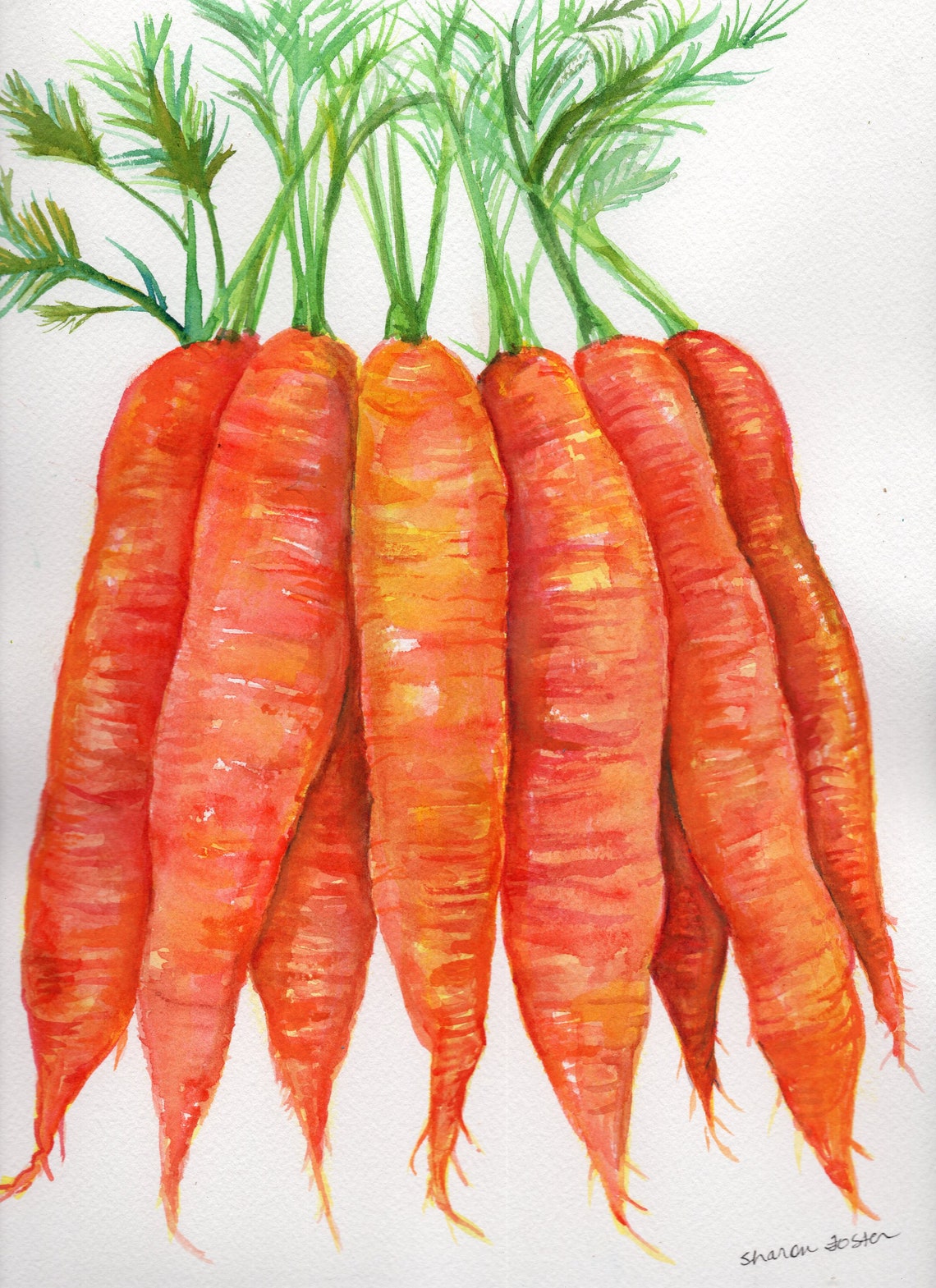 Carrots Watercolor Painting Original Vegetables 9 X 12 | Etsy