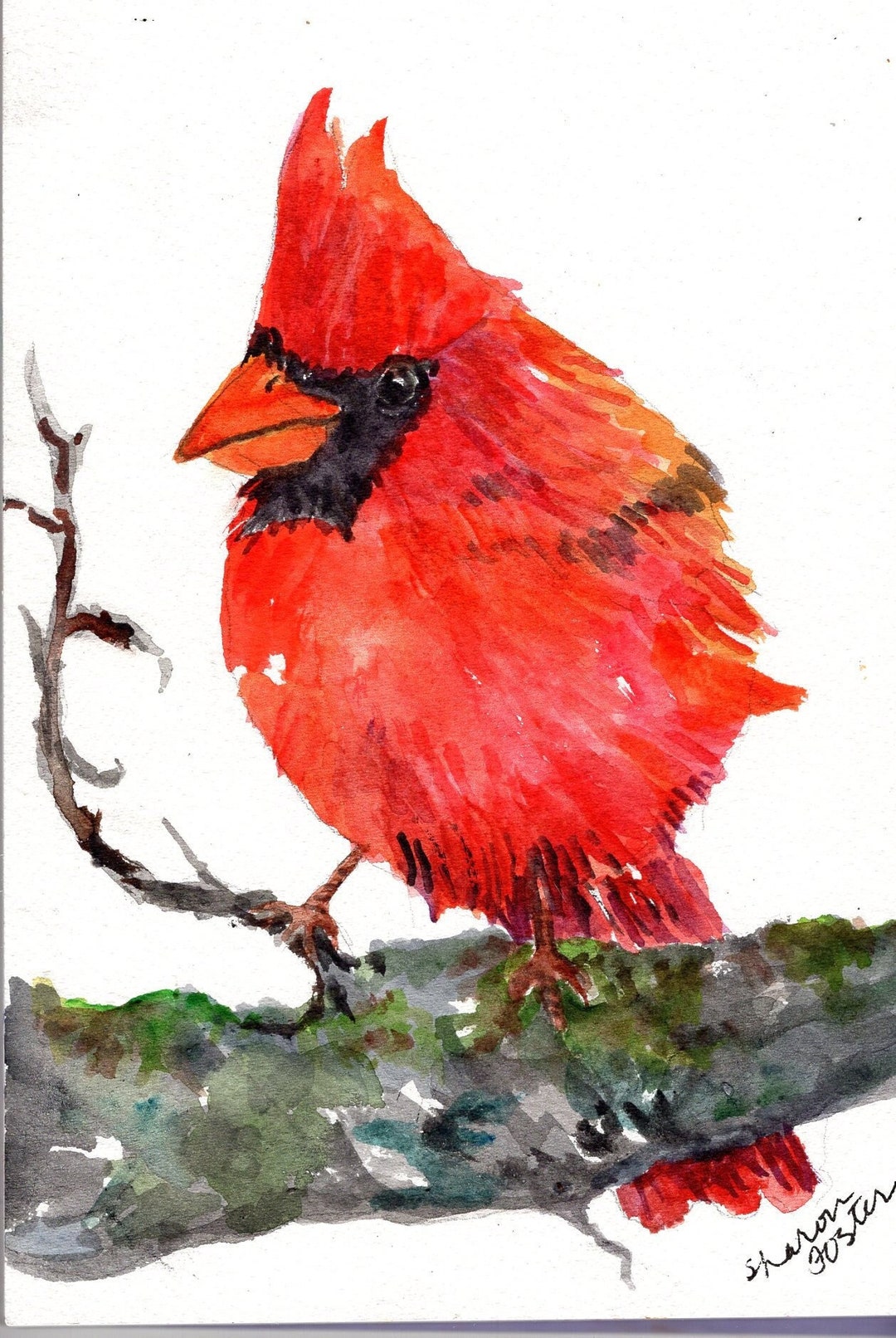 Vibrant Cardinal Watercolor Painting 5 X 7 Original Bird Art, Bird ...
