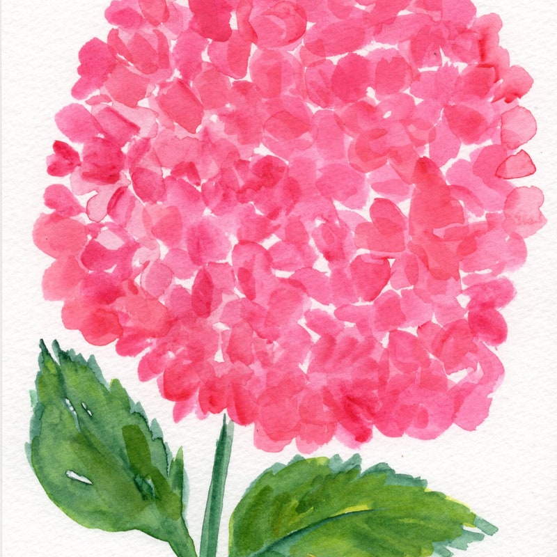 Hot Pink Hydrangea - Etsy