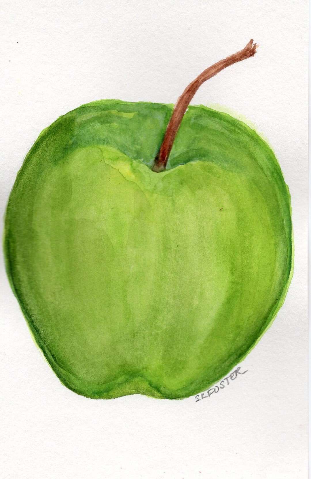 Green Apple Pencil Drawing