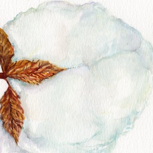 Original Cotton Boll Watercolor Painting 5 X 7 Botanical Art ...