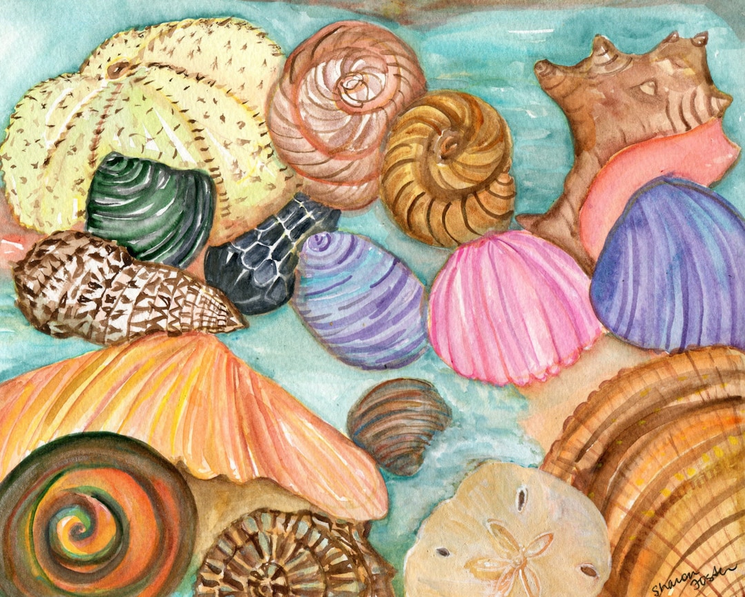 Original Seashells Watercolor Painting - 8x10 Beach Decor - Etsy