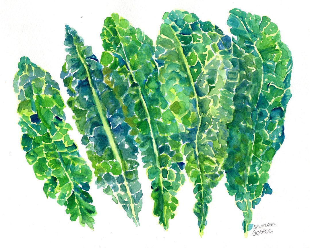 Original Collards Watercolor Painting of Nature , 8 X 10 Vegetable ...