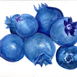 Original Blueberry Watercolor Painting, Kitchen Wall Art 5x7 - Etsy