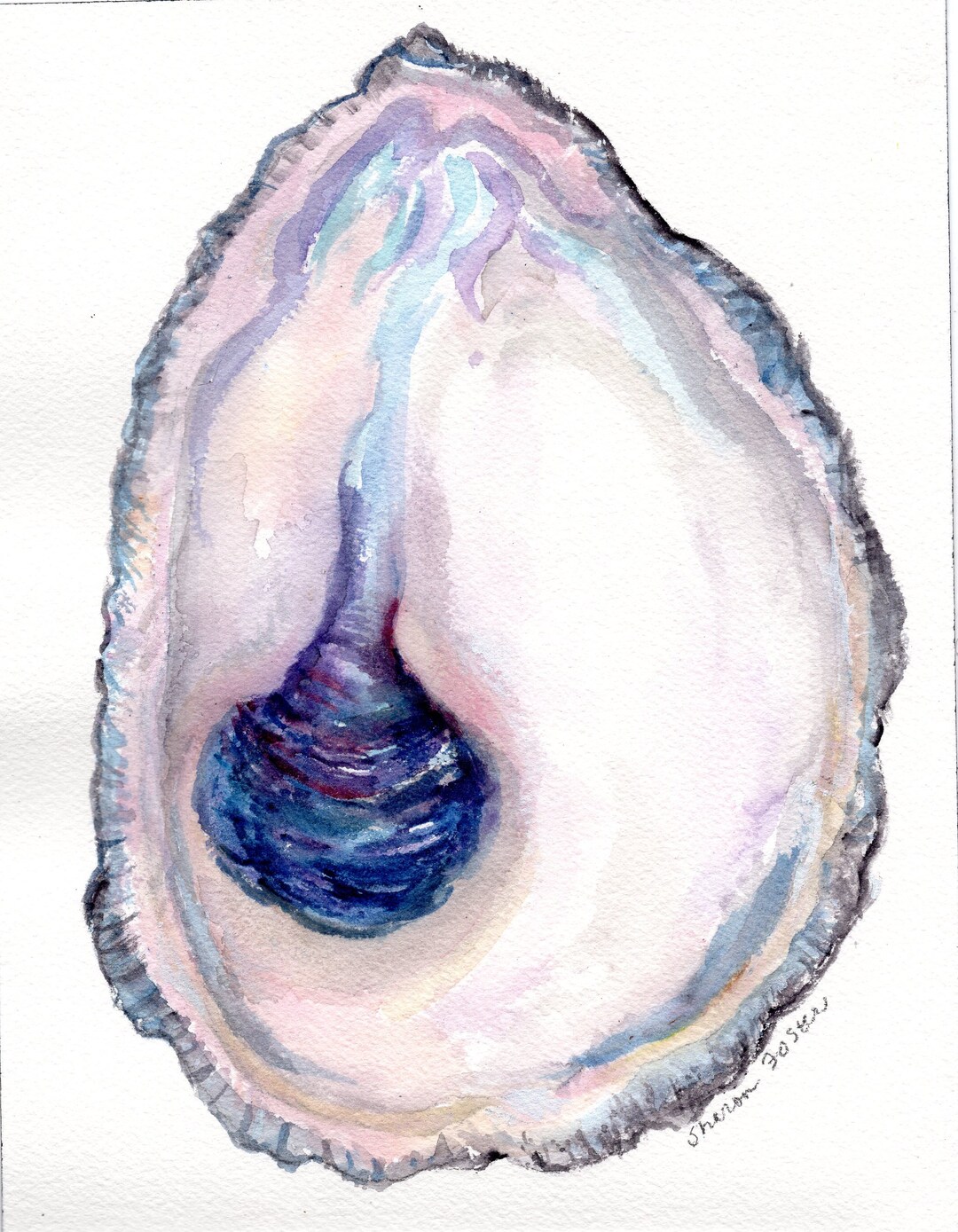 Original Oyster Shell Watercolor Painting 8 X 10 Oyster Wall Art, Not a ...