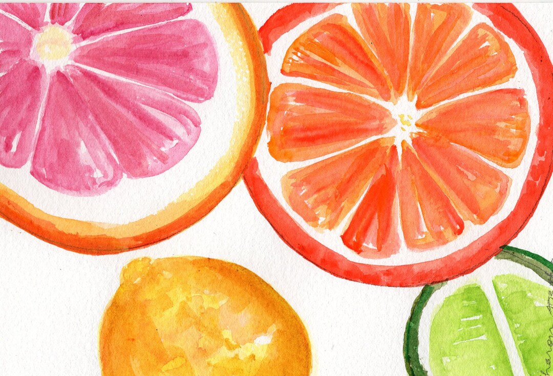 Original Orange, Lemon, Lime, Pomelo Slices Watercolor Painting, Citrus ...