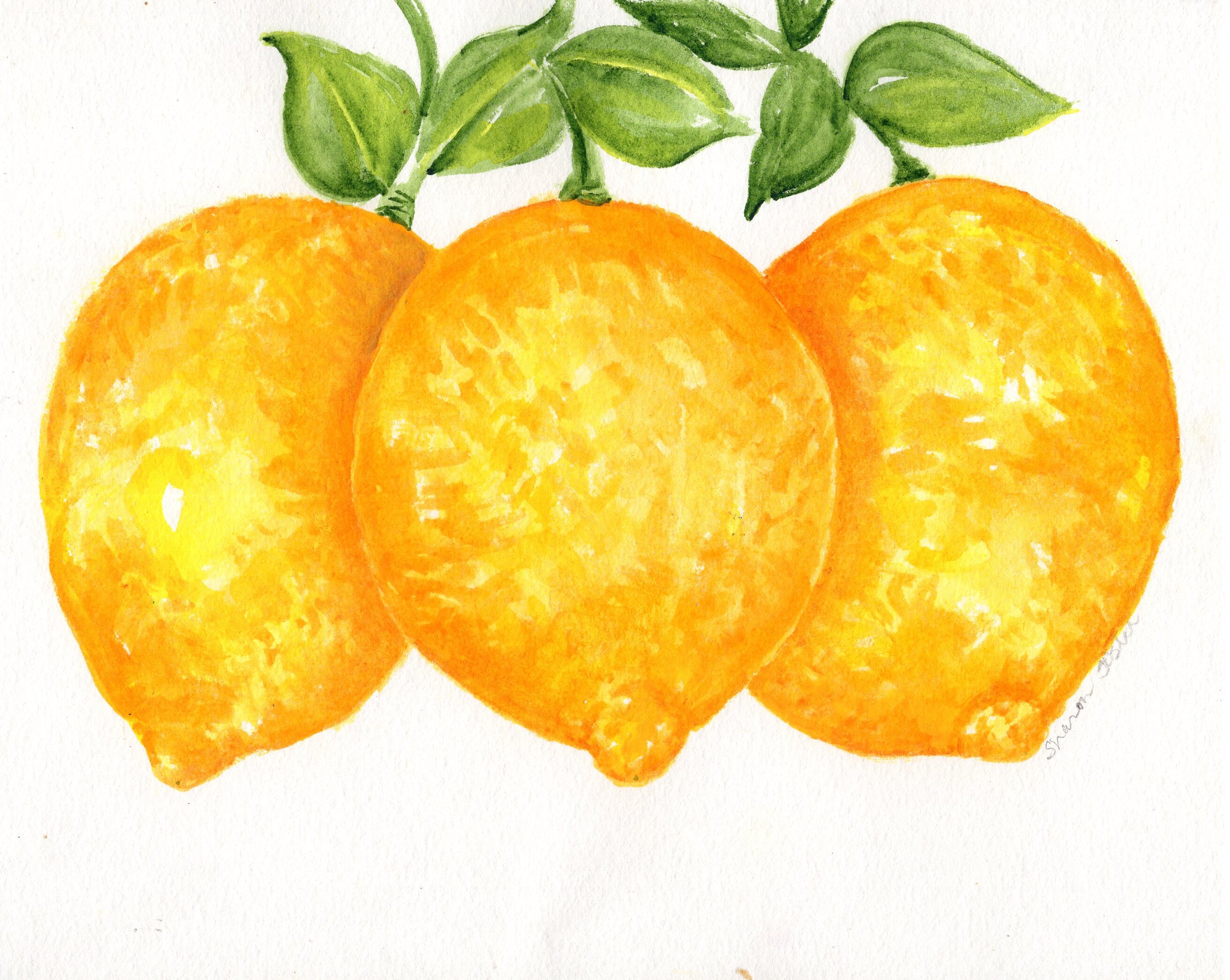 Acrylic Lemons Lemon Sunset Original Acrylic Painting 4 x 4 Painting ...