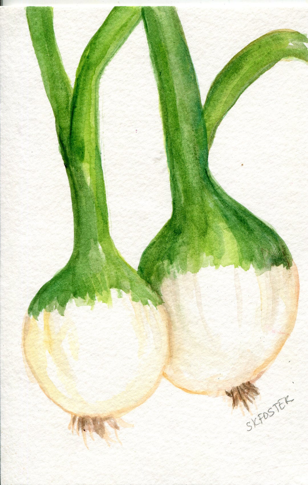 Original Spring Onions Watercolor Painting, Small Vegetable Kitchen ...