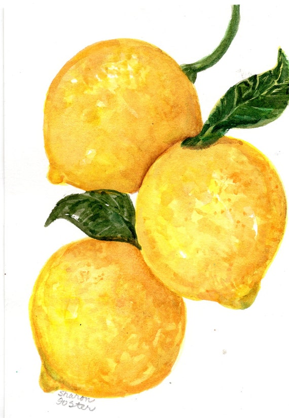 Sharon Foster Art Citrus Citrus Watercolor Painting Original 8 X 10