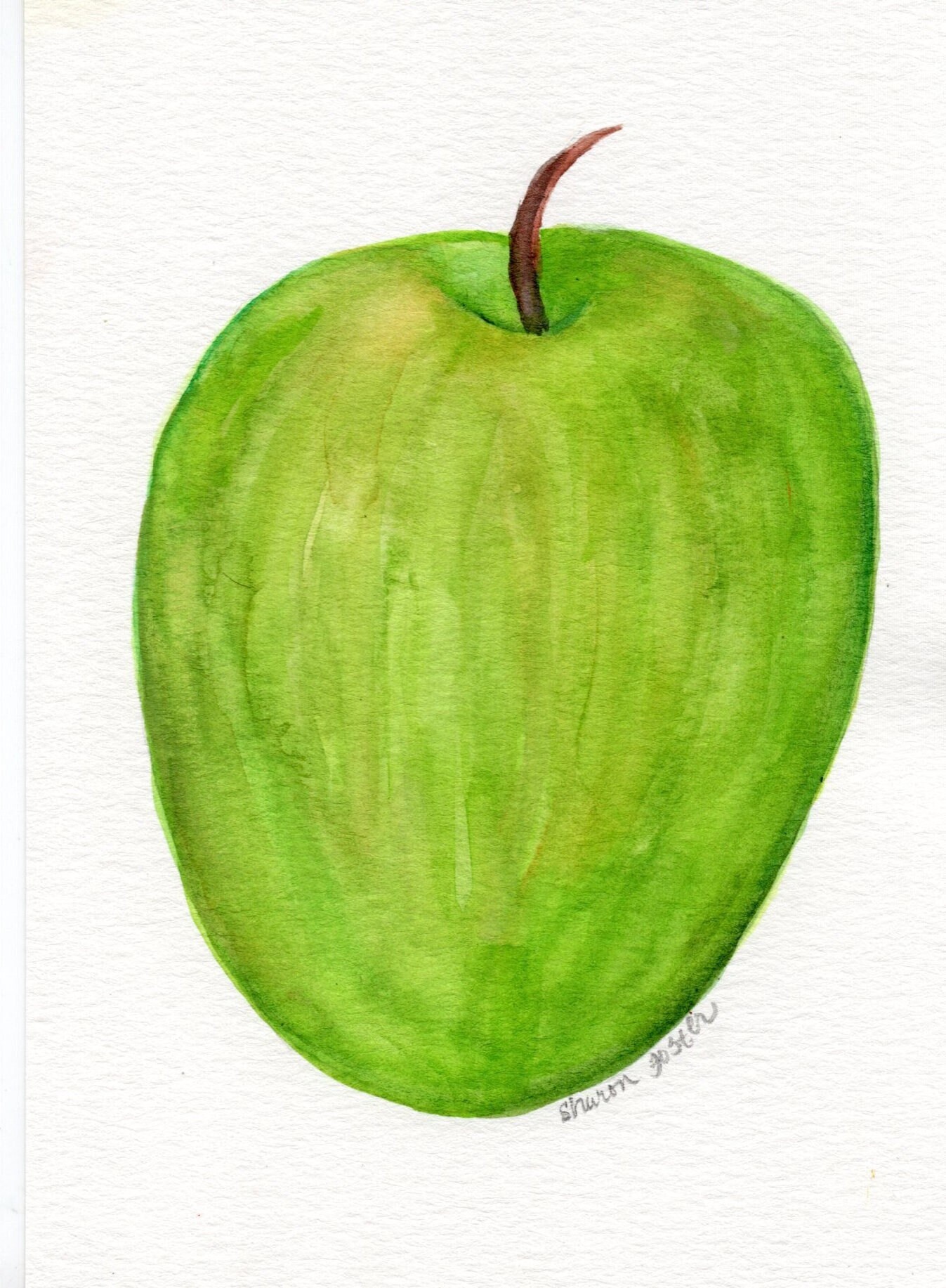 Green Apple Pencil Drawing