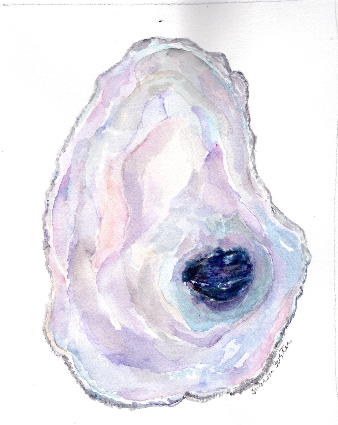 Original Oyster Shell Watercolor Painting 8 X 10 Oyster Art, Beach ...