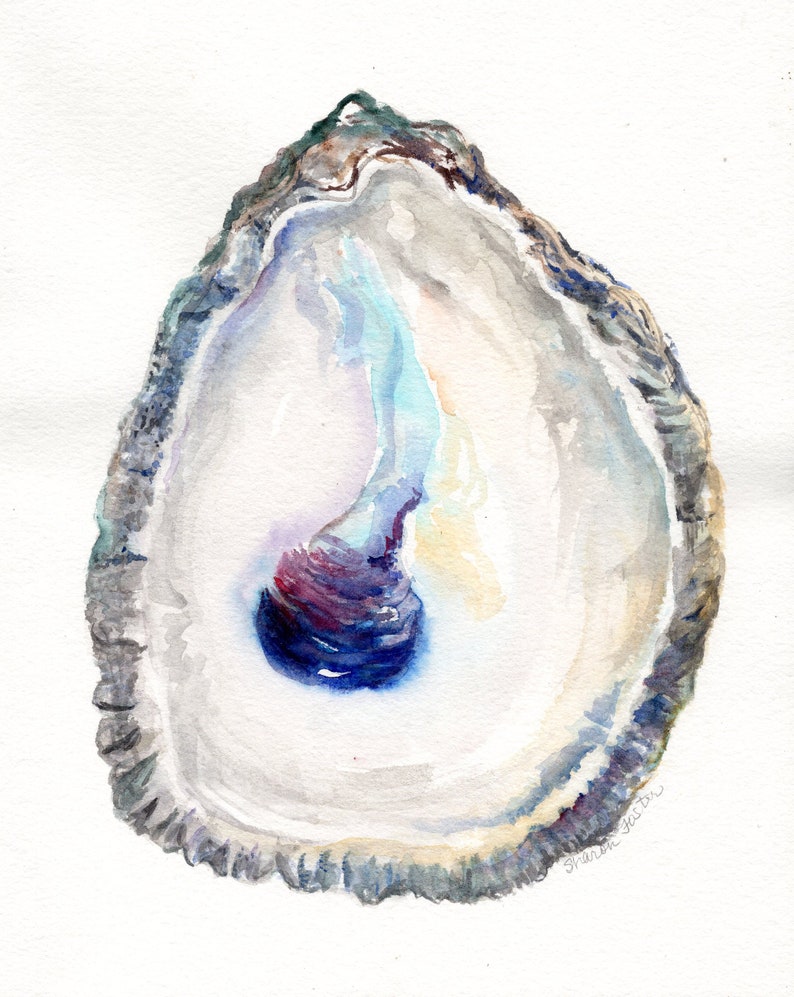 Original Oyster Shell Watercolor Painting 8 x 10 oyster art | Etsy