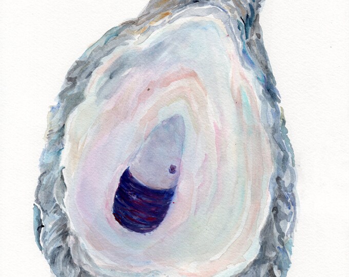 Original Oyster Shell Watercolor Painting 8 X 10 Oyster Watercolor ...