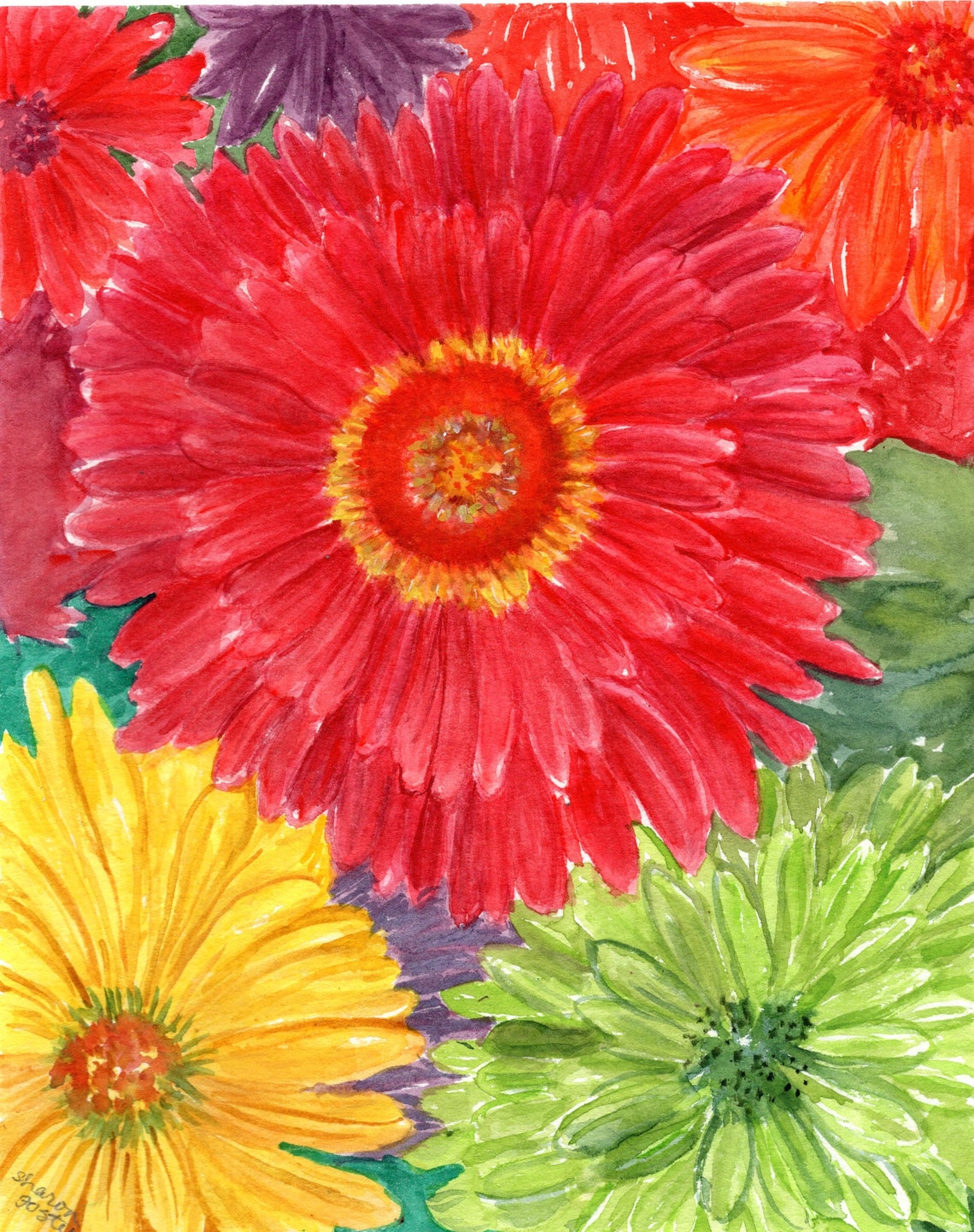 Country Garden Flowers, Original Watercolor Gerber Daisy Painting ...