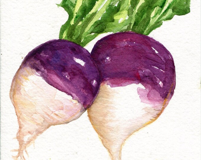 Turnips Watercolor Painting Original, Vegetable Wall Art, 5 X 7, Turnip ...