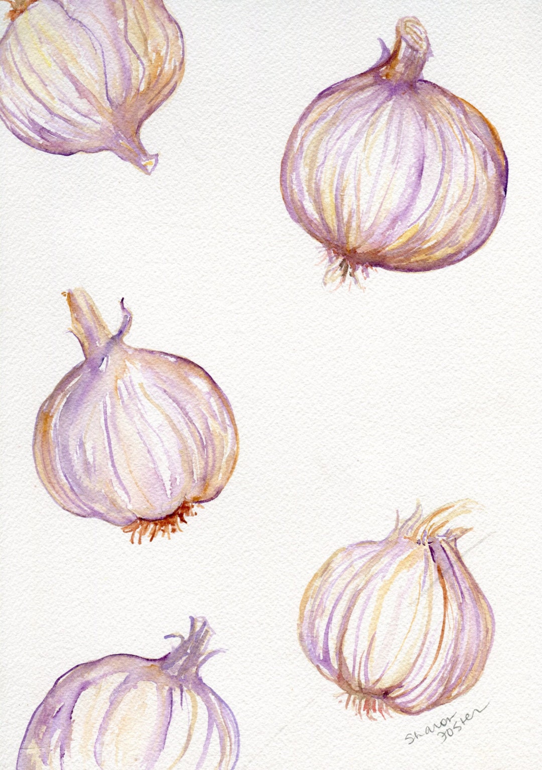 9 X 12 Garlic Original Watercolor Painting, Garlic Art Kitchen Decor - Etsy