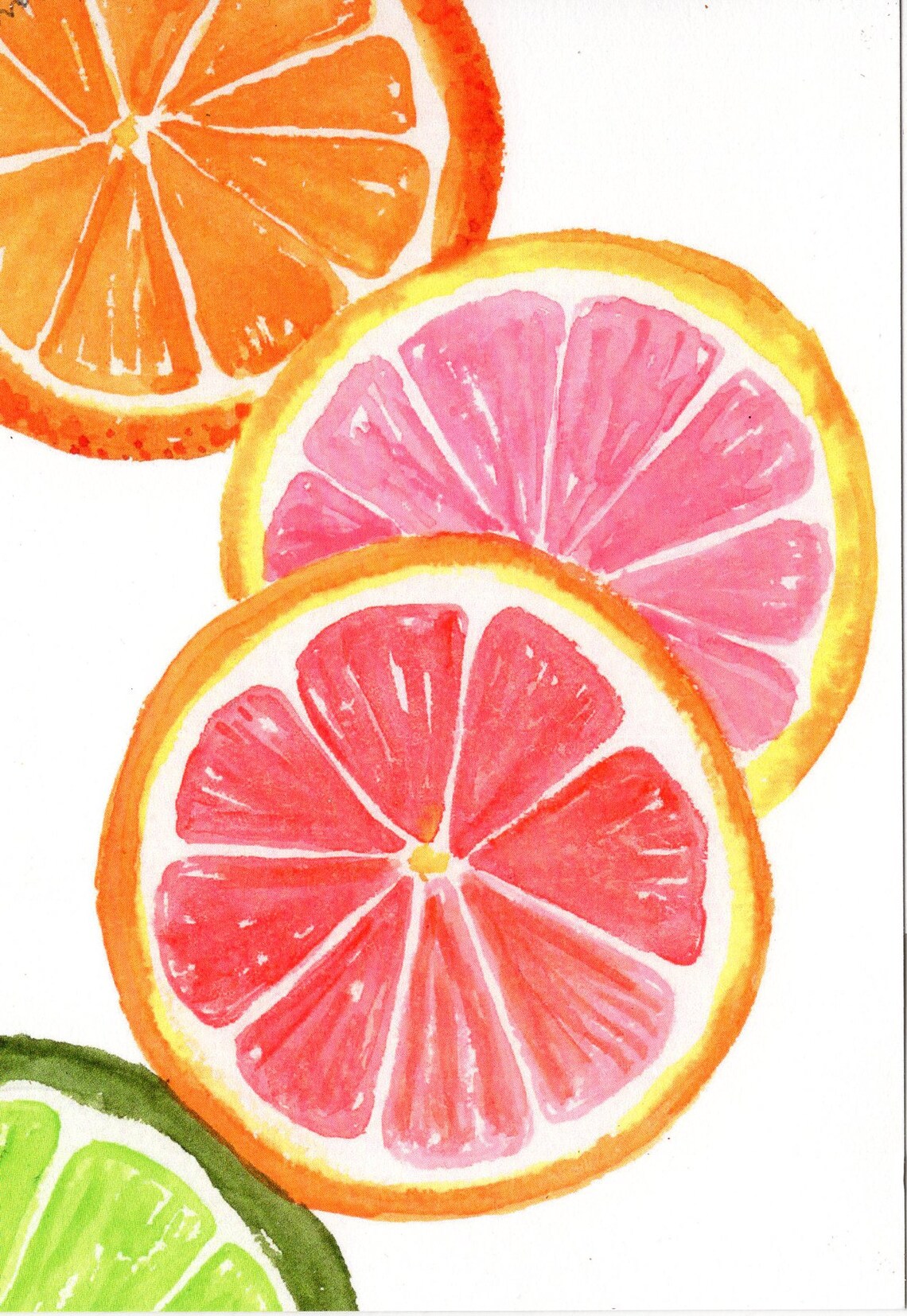 Citrus Trendy ART PRINT Watercolor Artwork Orange - Etsy