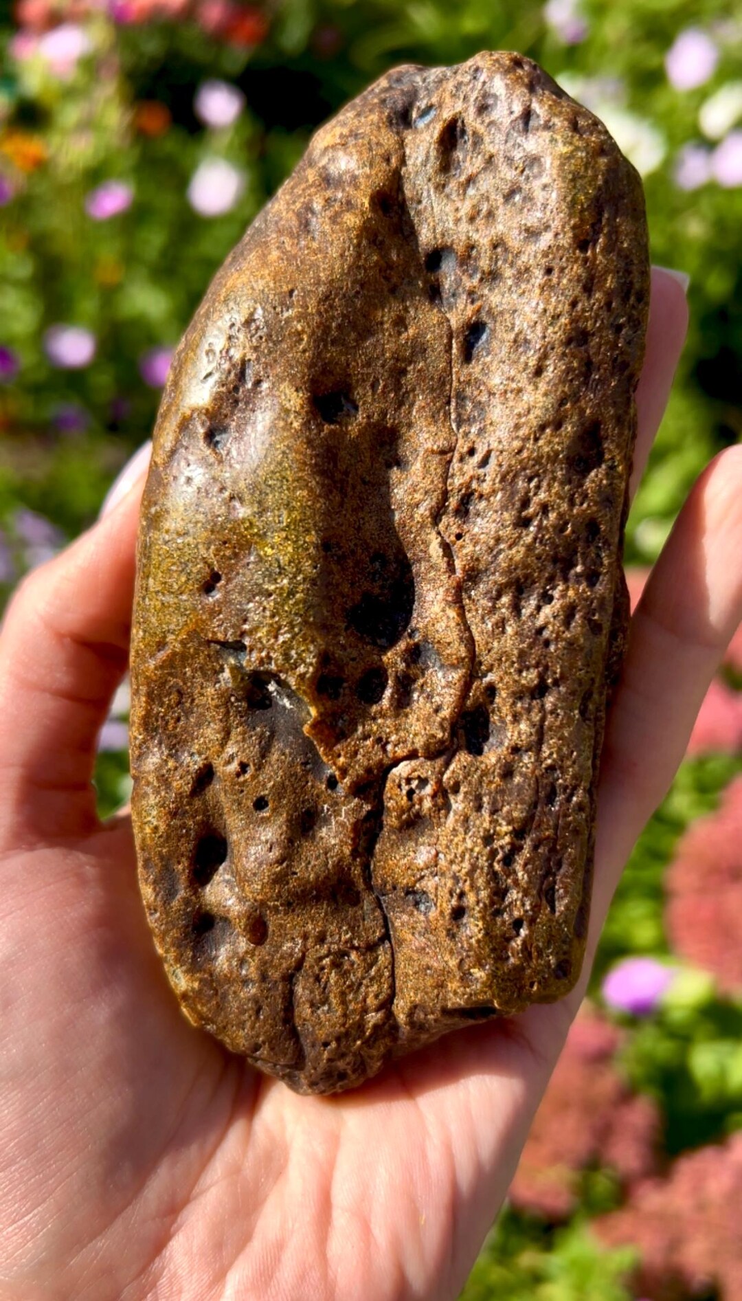 Raw Natural Amber Stone - Unpolished Authentic Baltic Gem for ...