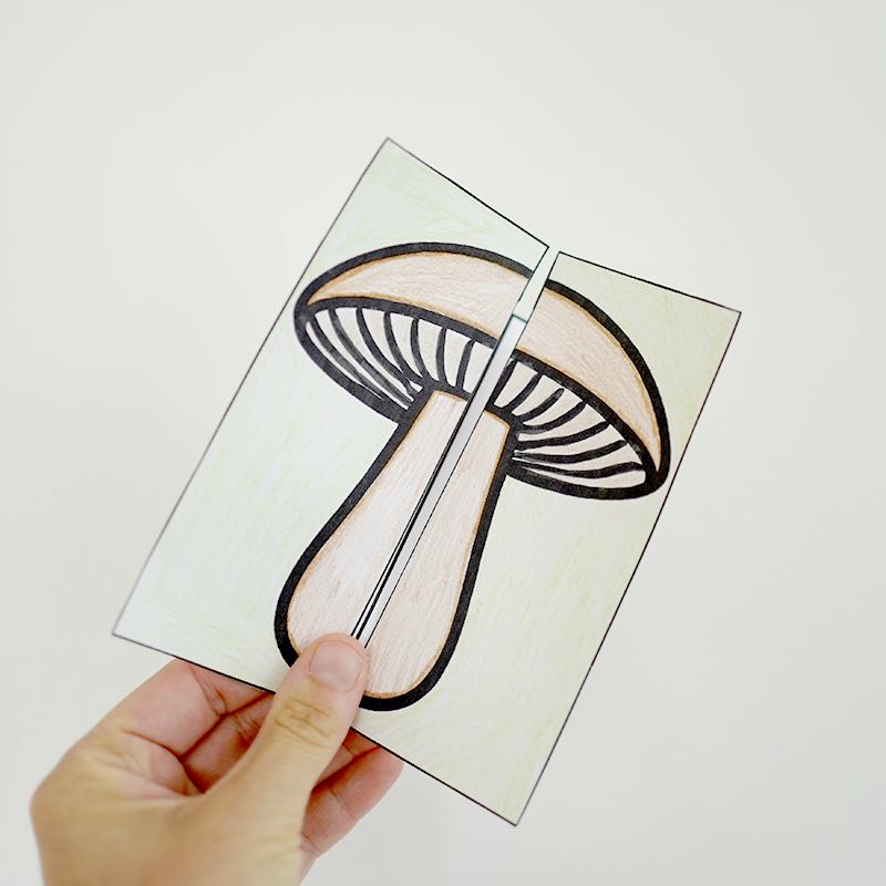 Autumn Printables for Kids | Mushroom Printables | Mushroom Life Cycle ...