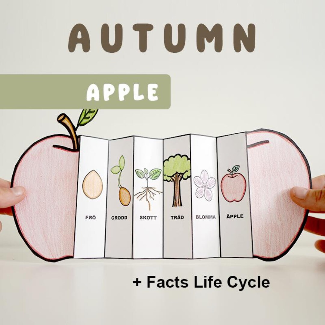 Autumn Printables for Kids | Apple Printables | Apple Life Cycle ...