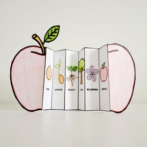 Autumn Printables for Kids | Apple Printables | Apple Life Cycle ...