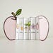 Apple Life Cycle Printable: Autumn Kids Activity (PDF) - Etsy