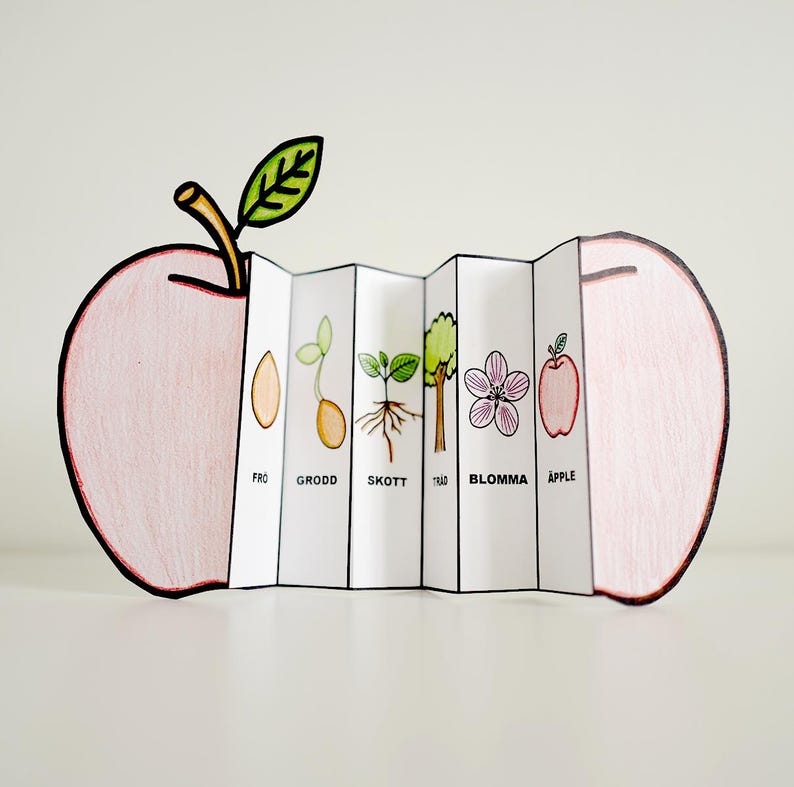 Autumn Printables for Kids | Apple Printables | Apple Life Cycle ...